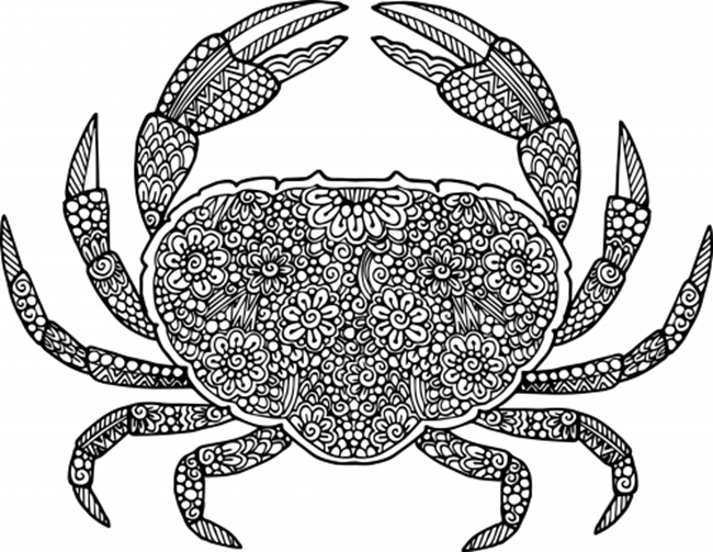 Gambar 12 Free Printable Adult Coloring Pages Summer Crab Adults Di 