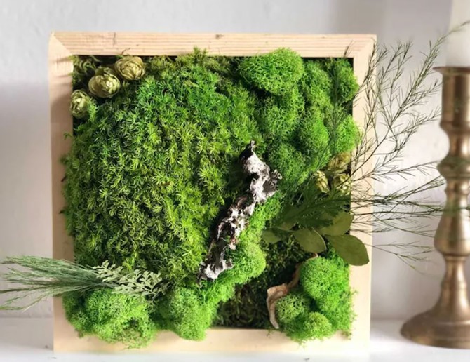 DIY Moss Wall Art - EverythingEtsy.com